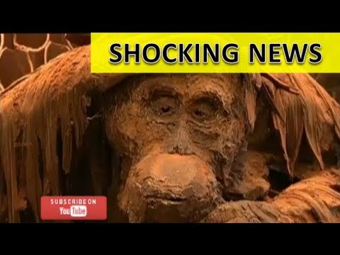 Delicious Monkey: Who Else Want To Eat This Chocolate Monkey In Paris ...