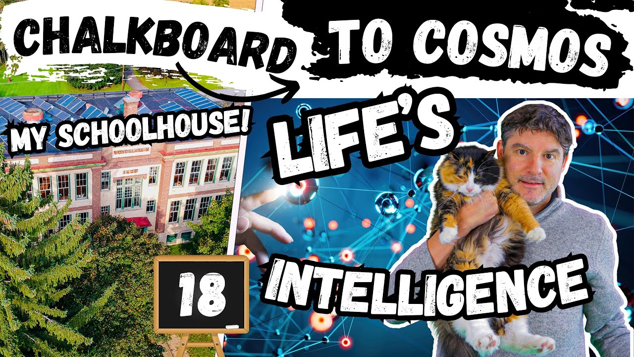 Thermodynamics Fun: Unraveling Cosmic Entropy & Life's Origins - YouTube