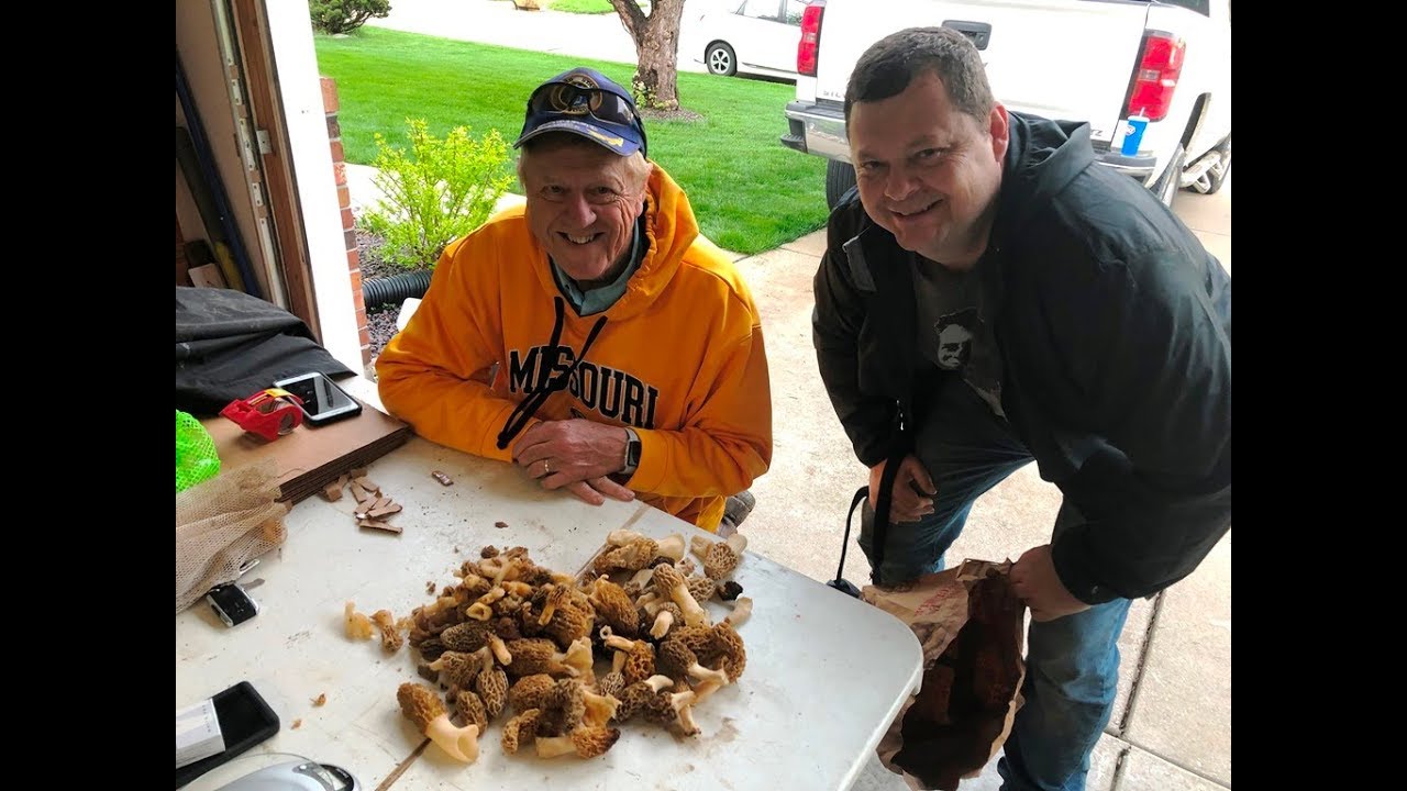 2019 Missouri Morel Mushroom Foray - YouTube
