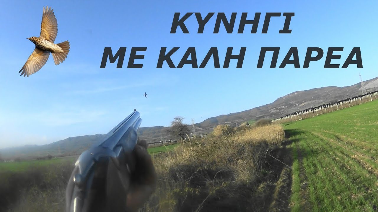 ΚΥΝΗΓΙ ΜΕ ΚΑΛΗ ΠΑΡΕΑ - YouTube