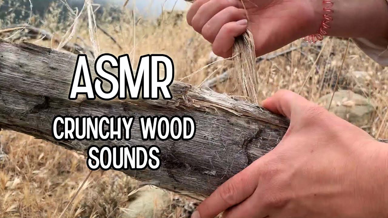 ASMR Stick Cracking - A Walk Through the Great Crunchy Outdoors- LOFI ...