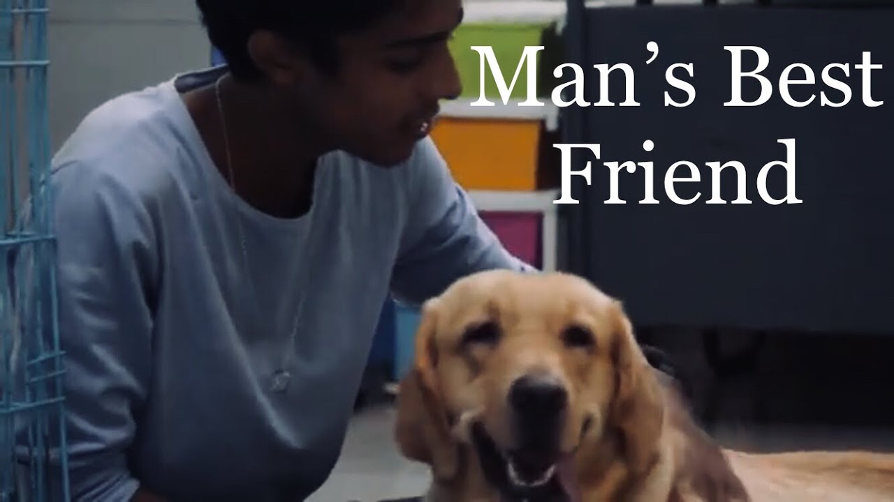 Man's Best Friend | English Poem On Dogs | Dharmesh Moleshri | My PAL ...
