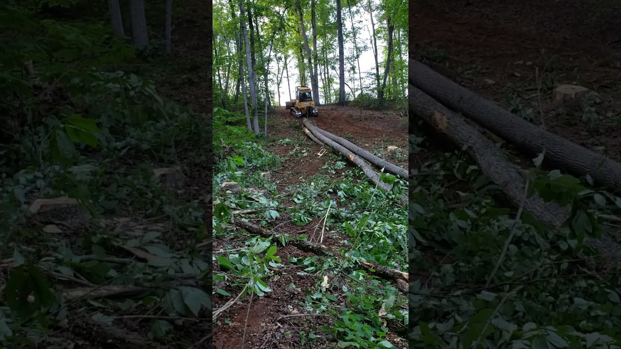 Dozer Logging in the Mountains of NC - YouTube