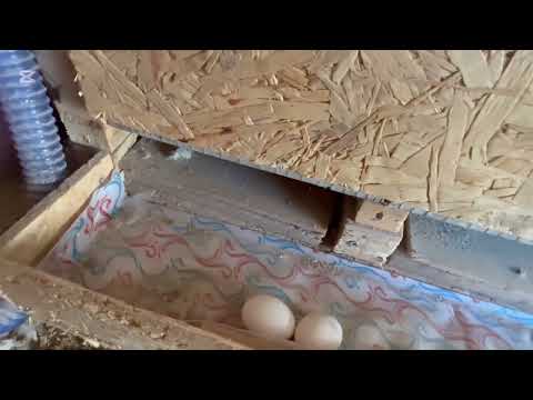 #Otomatik Folluk:Hijyenik,Ekonomik,Kolay temizlik