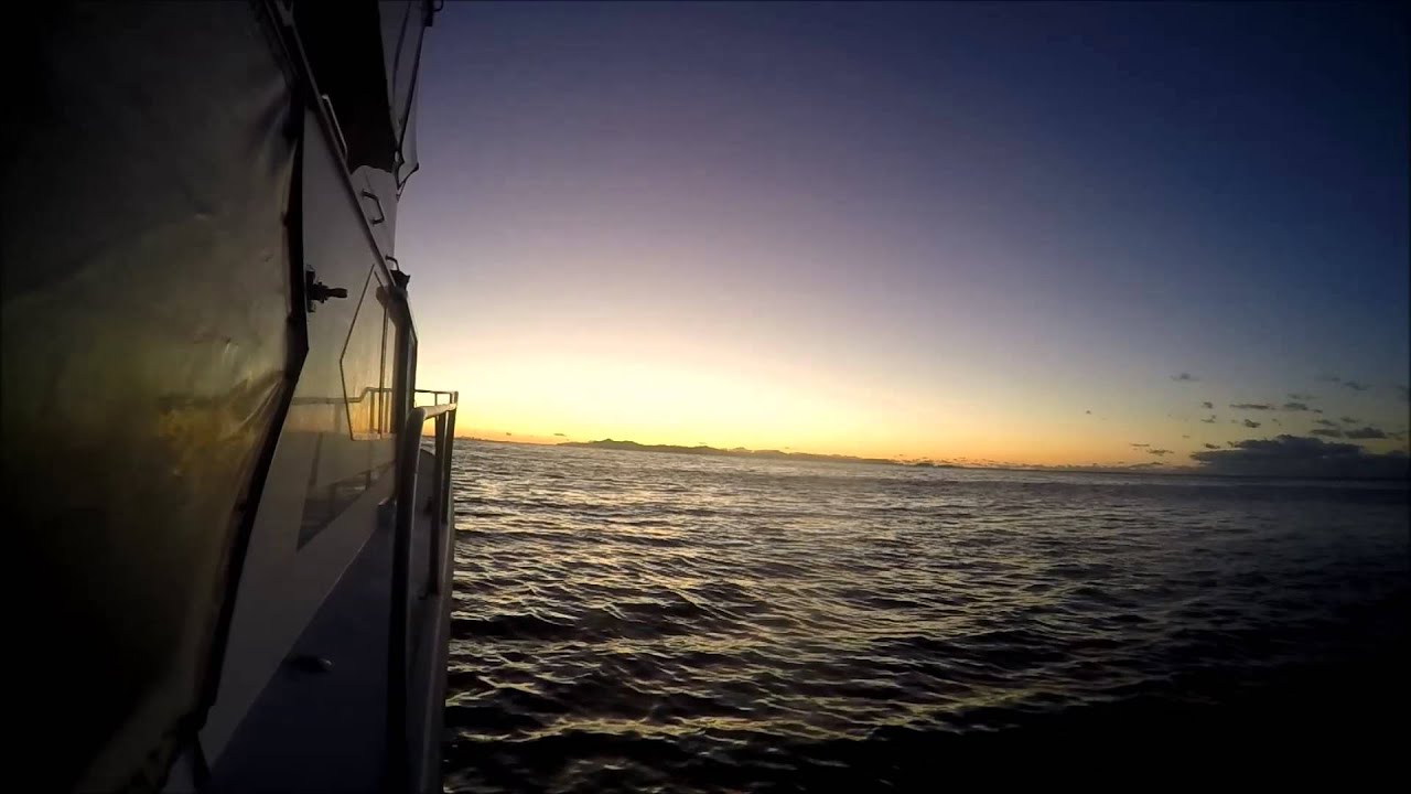 Vanavara mission to cuvier island - YouTube