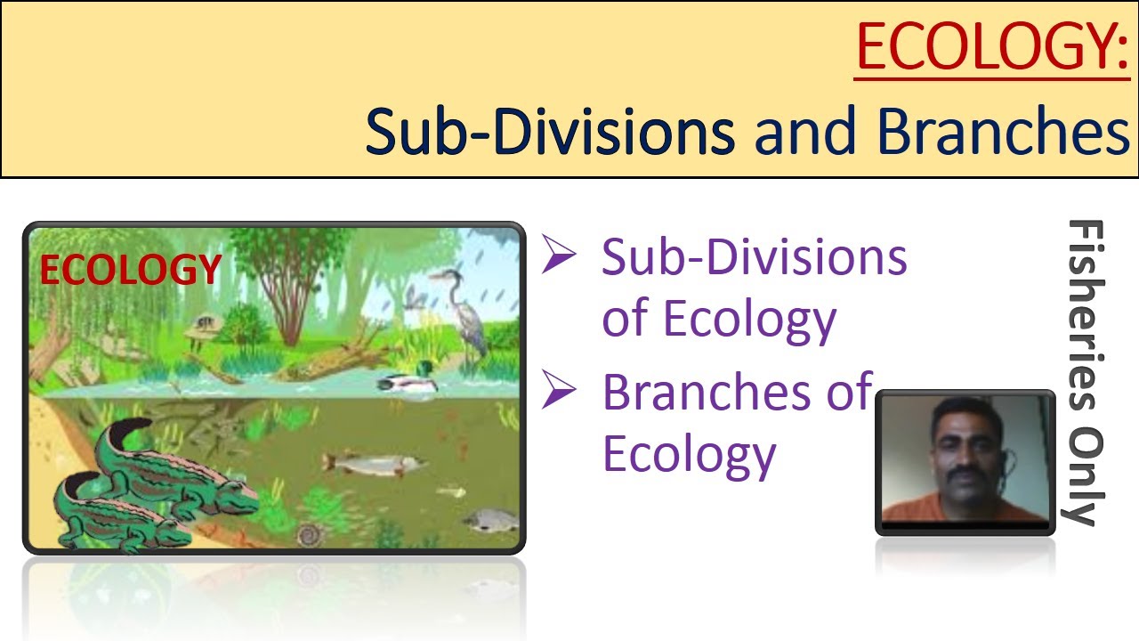 Ecology: Sub-Division and Branches - YouTube