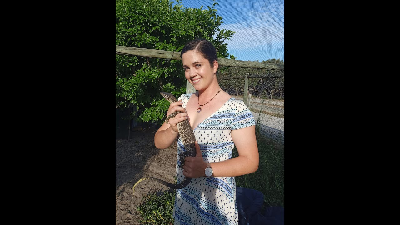 Amy Wild Adventures: Goanna Release... In a Dress - YouTube