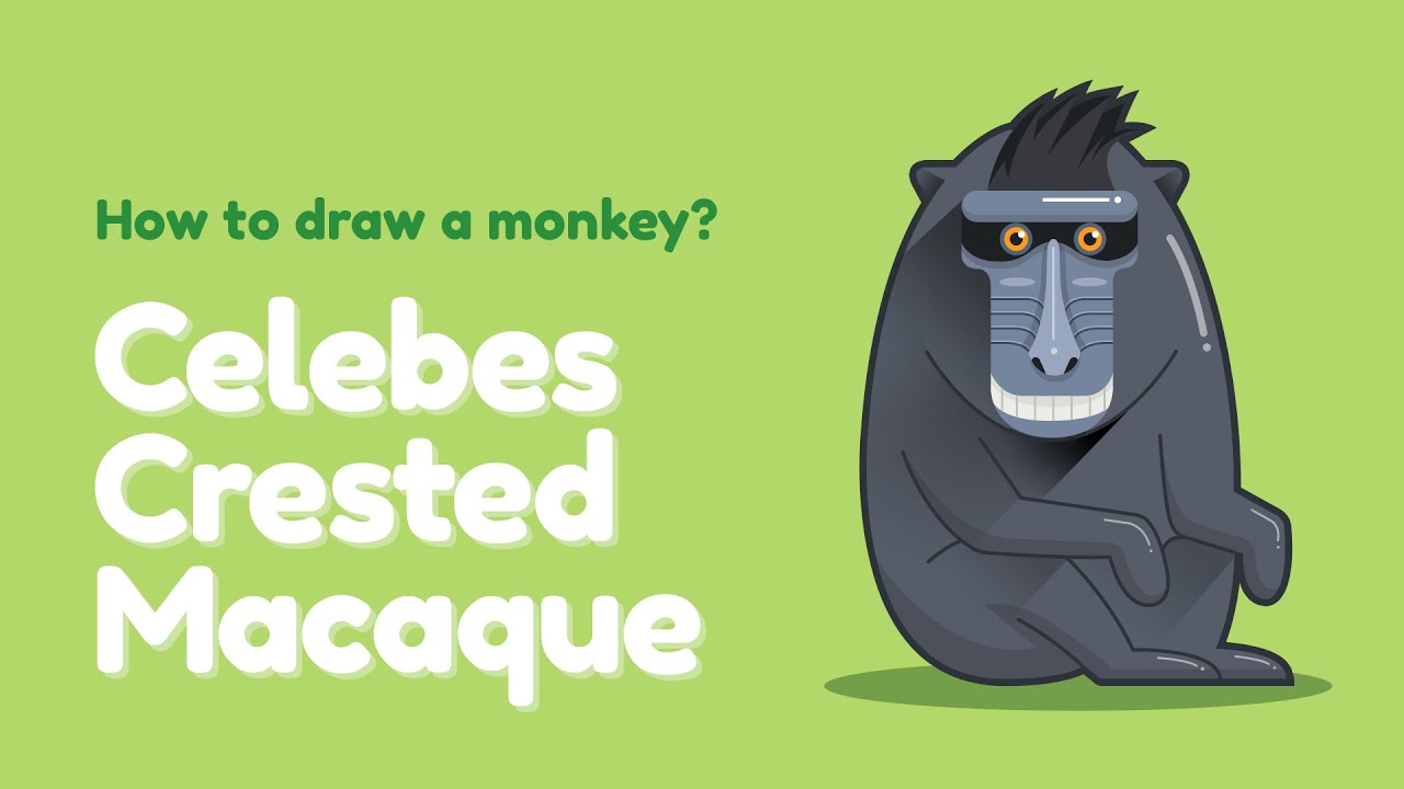 How to draw a monkey - Celebes Crested Macaque? Easy drawing | Animal ...
