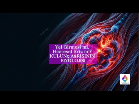Yel Girmesi mi, Hücresel Kriz mi? Kulunç Ağrısının Biyolojisi