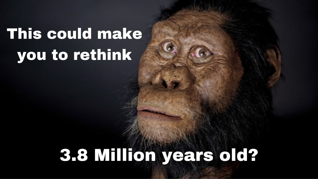 3.8 million years old human face was reveled. #science #sciencefacts # ...