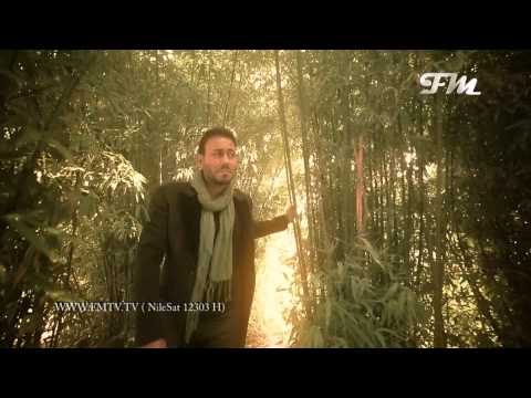 Ghady Waynik - غدي وينيك on FM TV