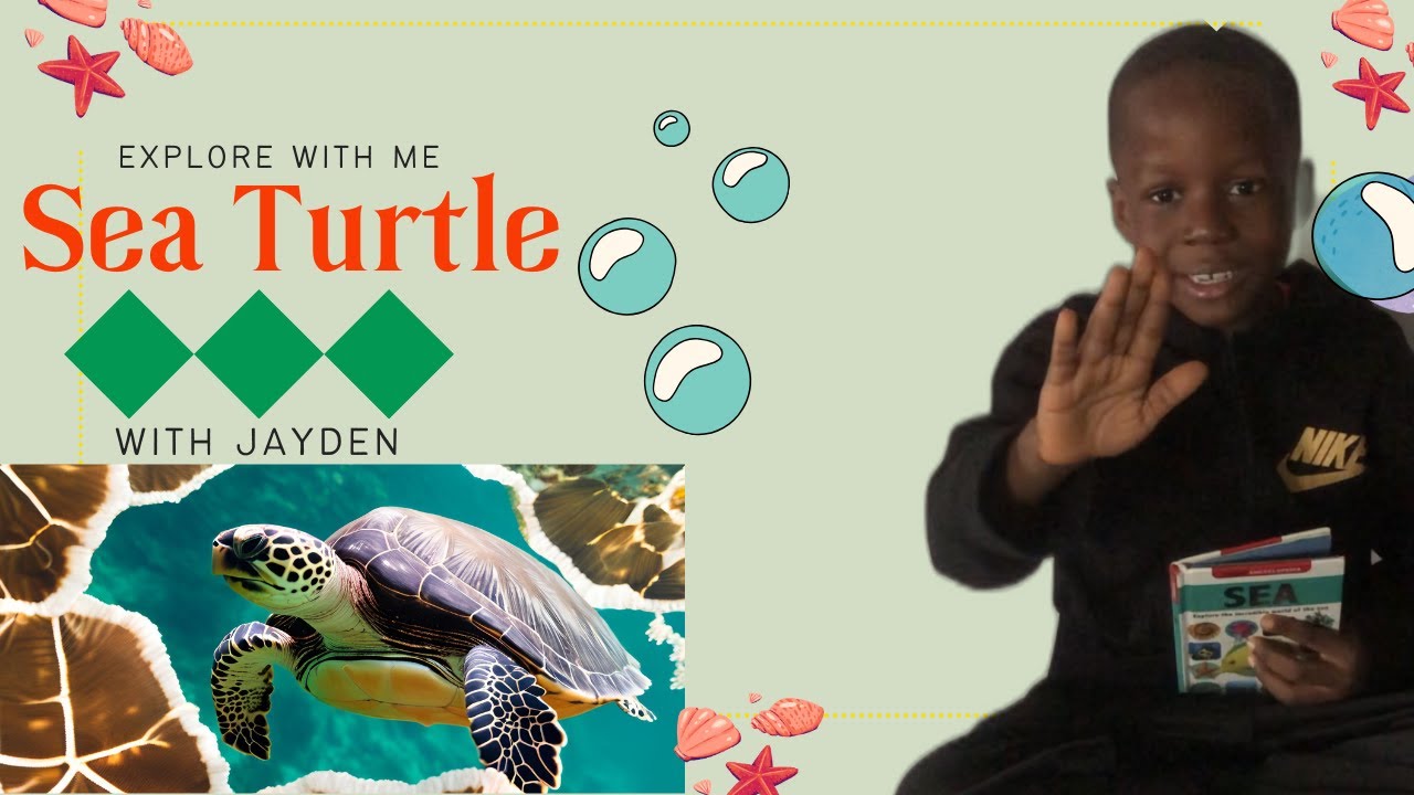 Sea turtle for Kids | Learn about Sea Turtle with JAYDEN | Kids Natgeo | Fun-Learning - YouTube