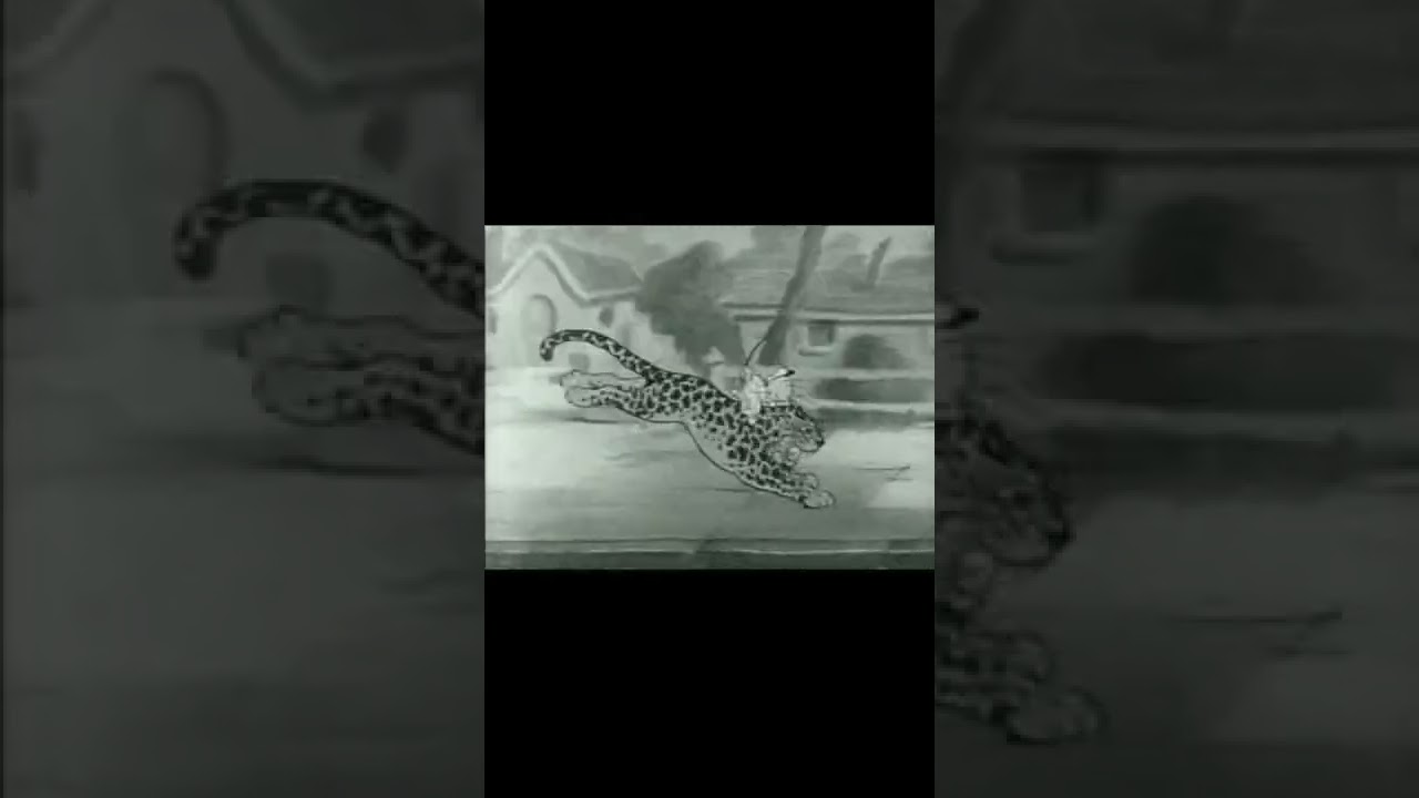 Popeye the Sailor with Little Swee'Pea - 1936 Film - YouTube