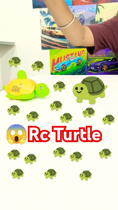 Turtle Power: The Remote Control Turtle That Got Me Hooked - YouTube