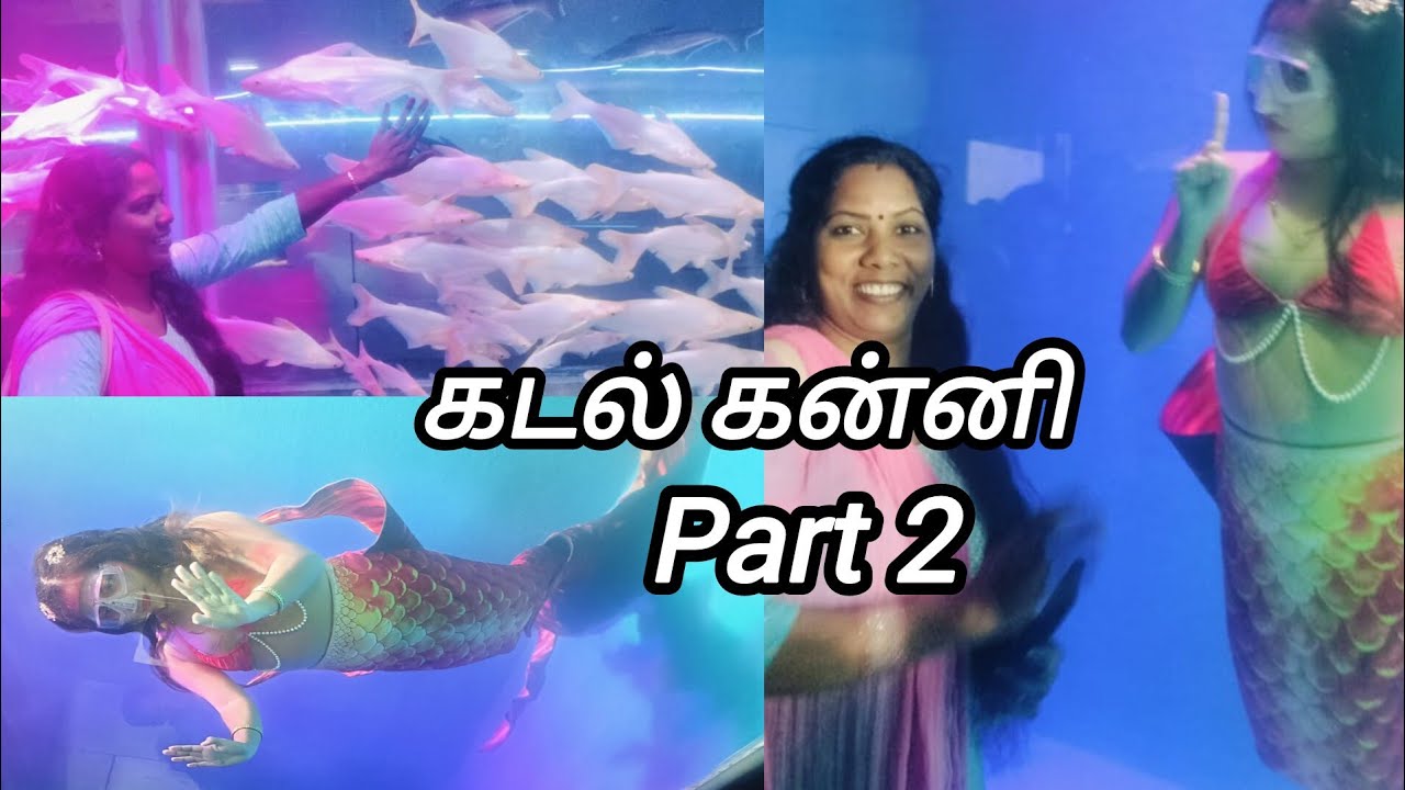 Nellai Expo Part 2 // kadal kanni expo intirunelveli //kadalkanni 🧜😍 ...