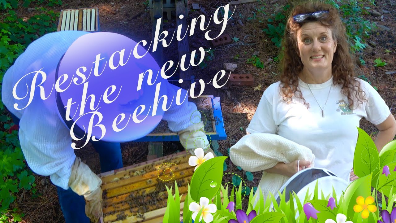 Re-Stacking the New BEEHIVE (all good until the end!) #honeyhabits ...