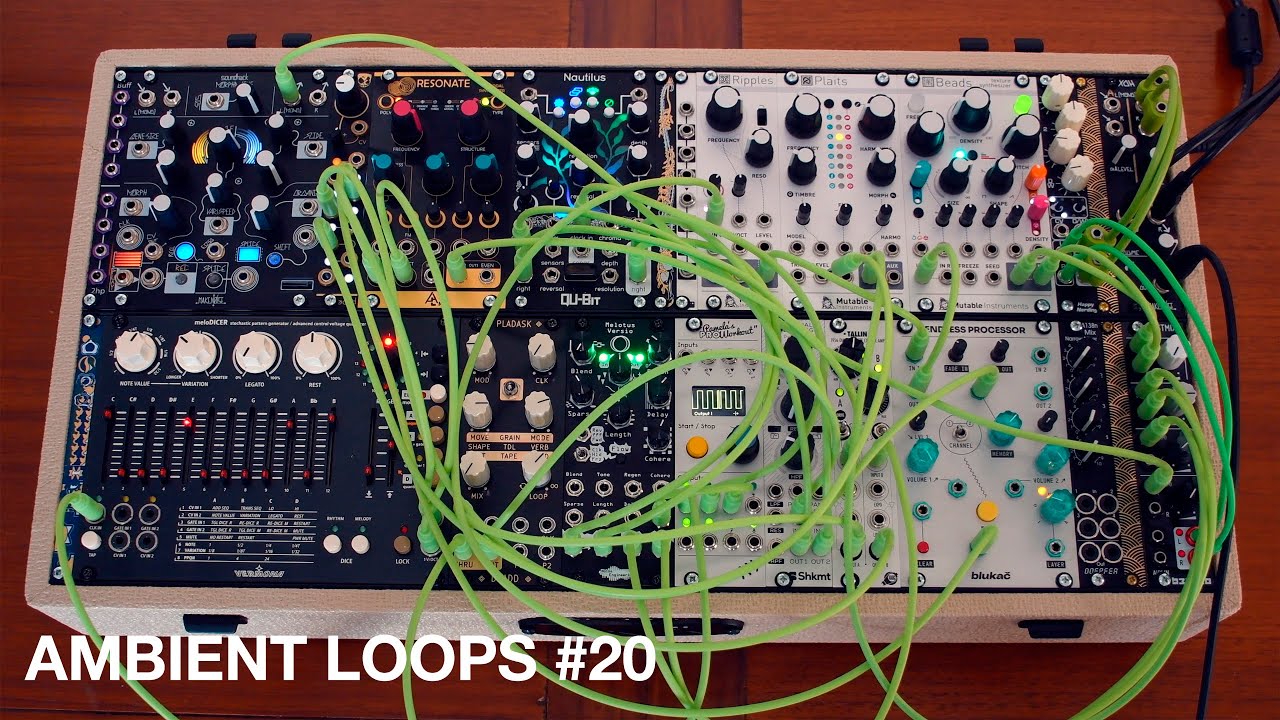 Ambient loops #20 ∞ Eurorack (meloDICER, Dradd, Nautilus, Melotus ...