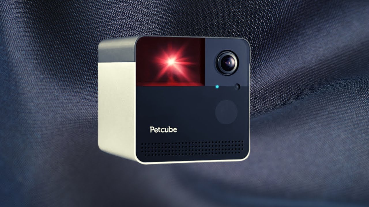 8 Cool Gadgets Every Pet Owner Needs - YouTube