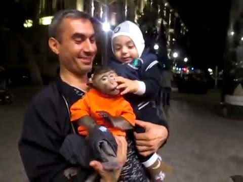 MEYMUN PRIKOL TORQOVIY