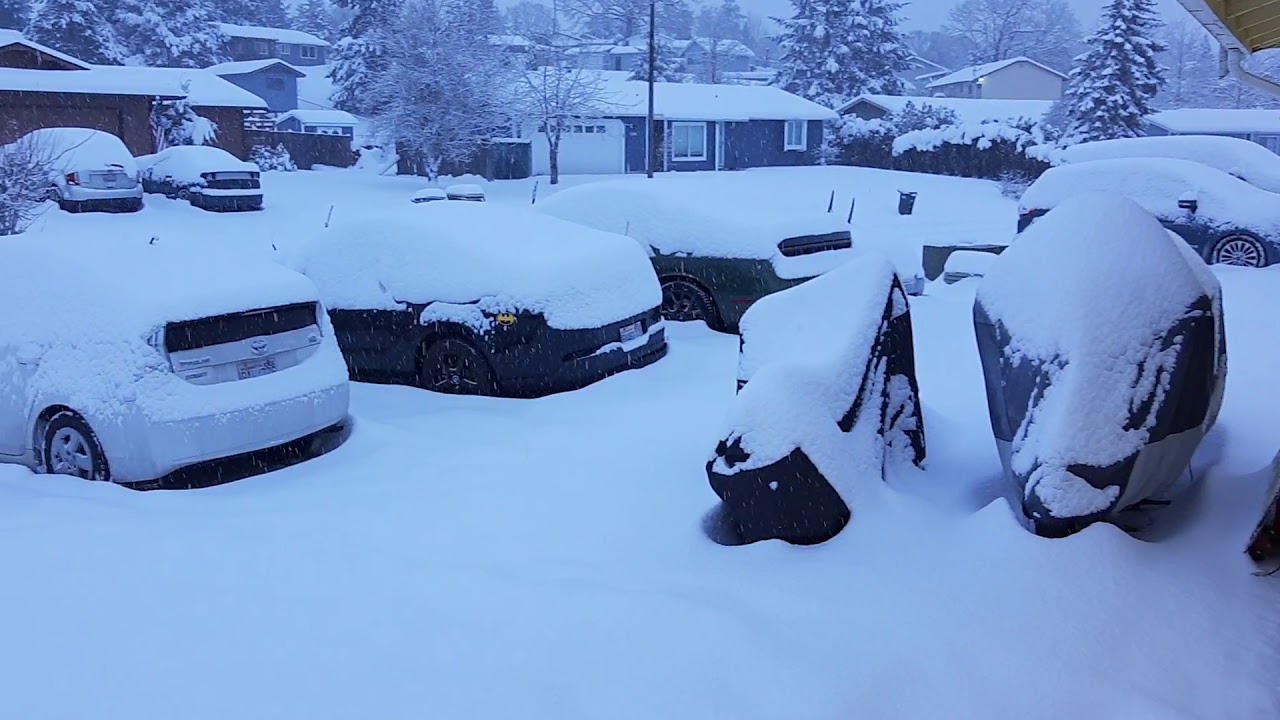 Olympia Washington snowmageddon 2021 February 13th part 2 - YouTube