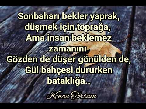 Gözden Düşenler #sevgi #love #aşk #kısa #hikaye #öneçıkar #şair #şiirler #şiir#ihanet #