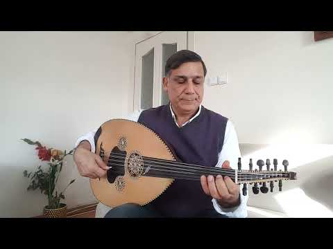 Udi Şemsettin Taşbilek - Gönlümde açmadan solan (Senede bir gün)