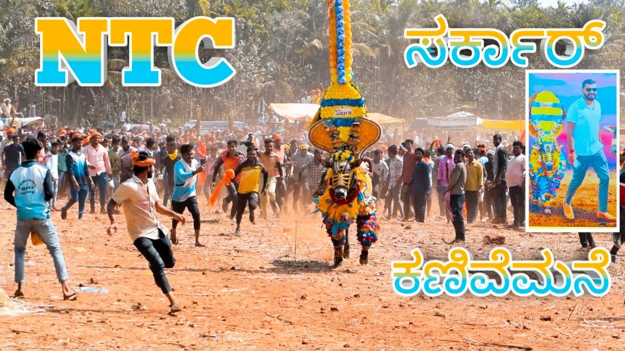 NTC Hori Habba 🥳|| ಕಣಿವೆಮನೆ ಹೋರಿ ಹಬ್ಬ 🎈🎈😱 - YouTube