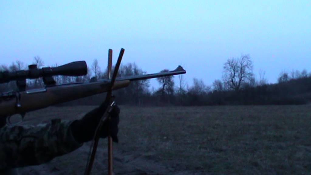 LOV NA LISICE N DJ 2 HUNTING FOX 228yrd - YouTube