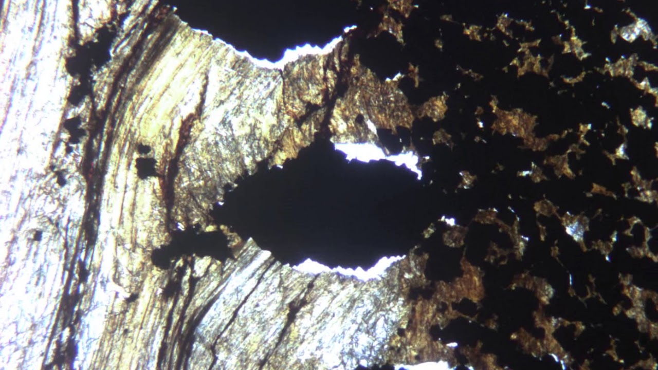 Oeil de tigre au microscope polarisant (LPNA) - YouTube