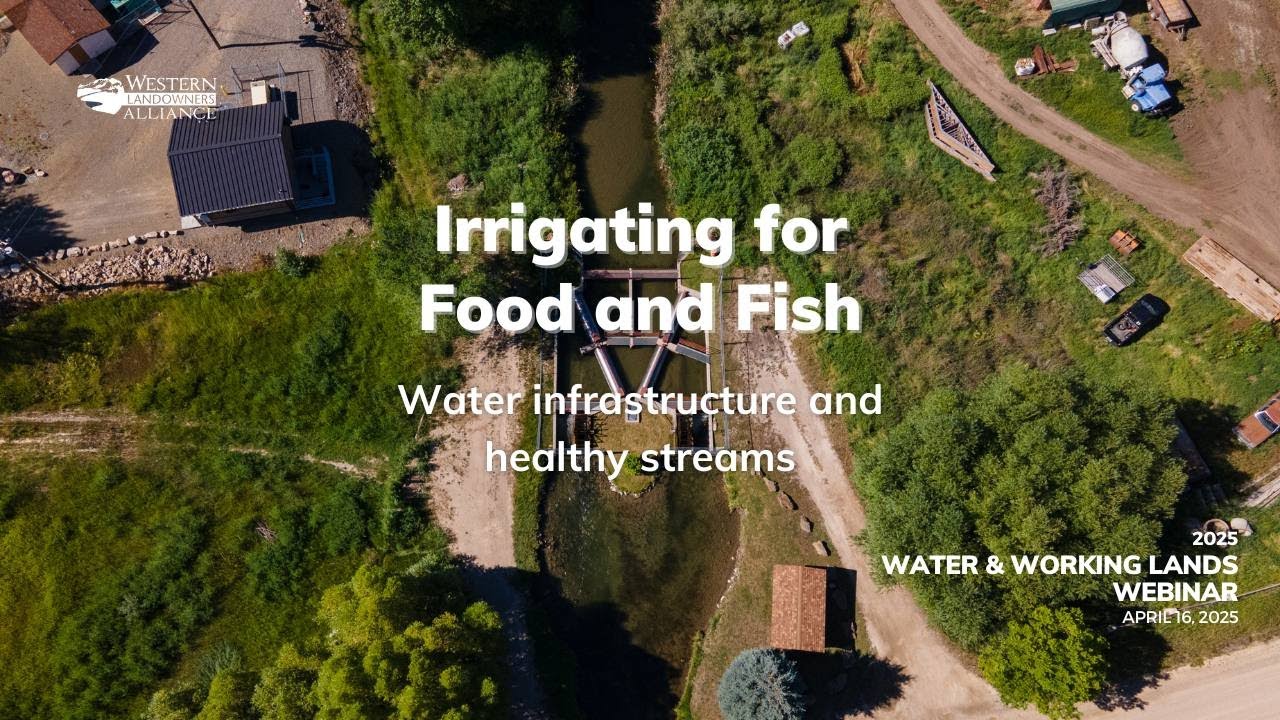 Irrigating for Food and Fish: Water infrastructure and healthy streams ...
