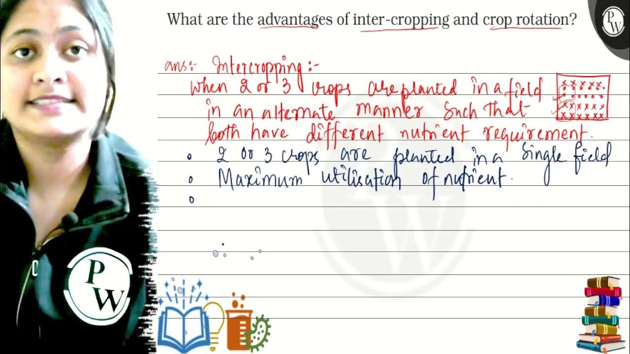 What Are The Advantages Of Inter cropping And Crop Rotation W YouTube what-are-the-advantages-of-inter-cropping-and-crop-rotation-w-youtube