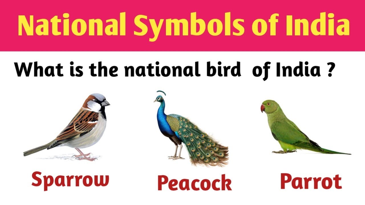 Gk questions national Symbols of India for kids / Gk questions for kids ...