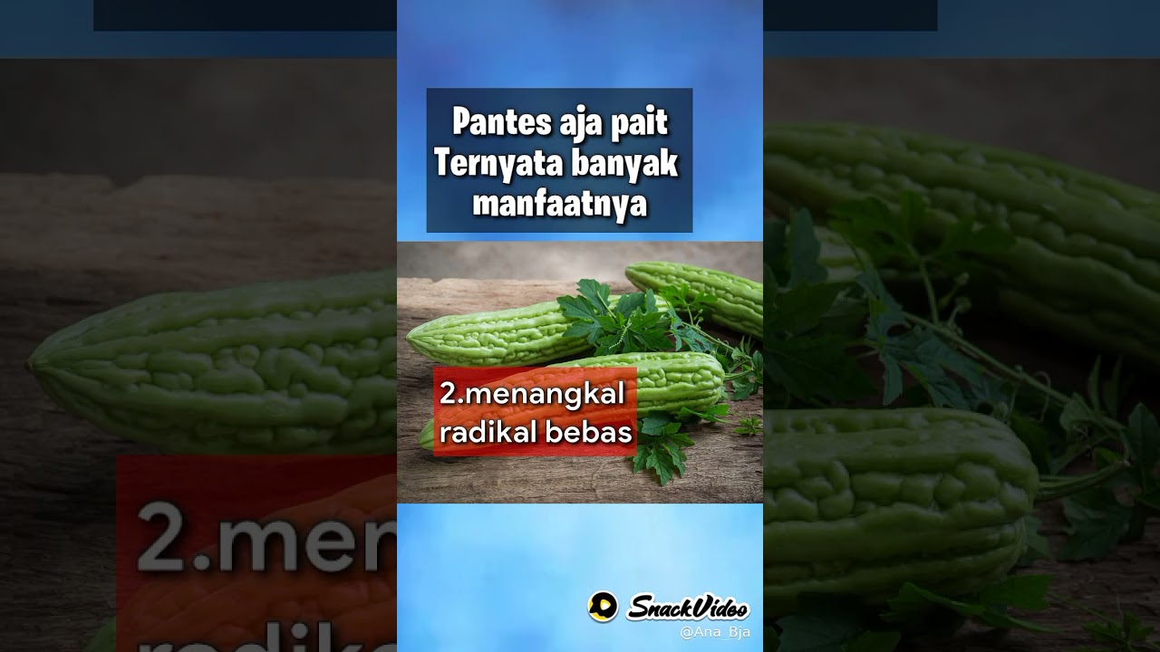 INILAH 7 MANFAAT PARE UNTUK KESEHATAN 🥒 - YouTube