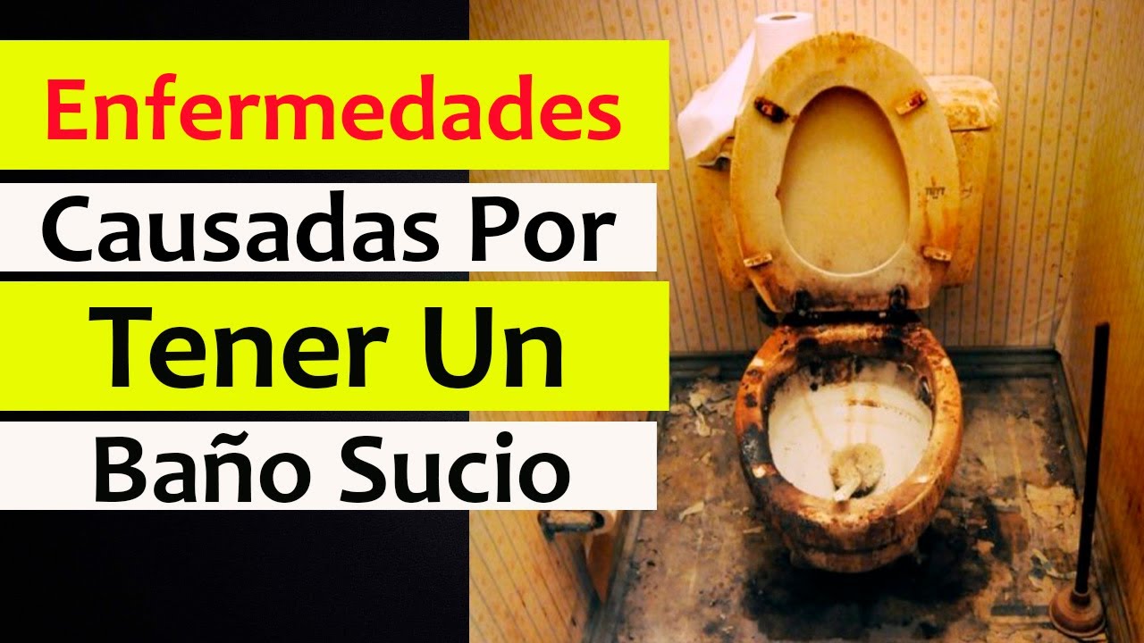 🚽 ENFERMEDADES CAUSADAS por TENER un BAÑO SUCIO, DESORDENADO y SIN ...