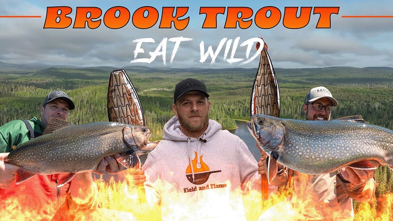 Cooking Brook Trout over an open fire! - YouTube
