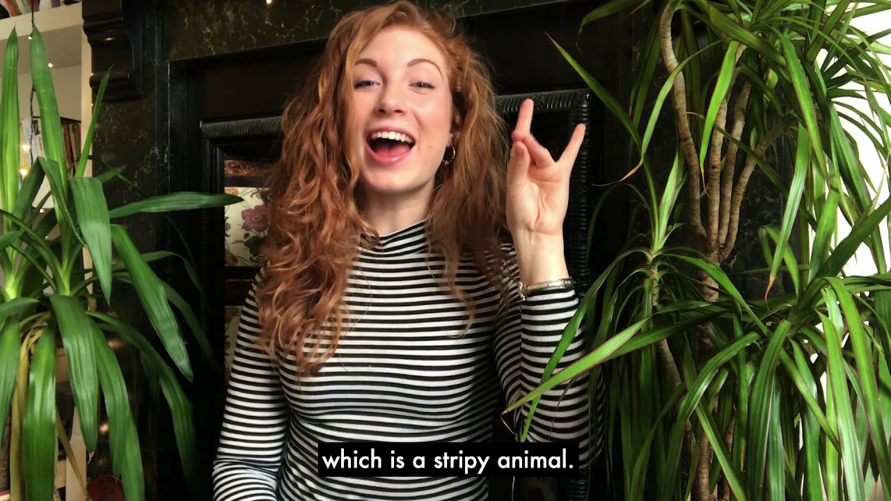 Makaton Sign for Zebra - YouTube