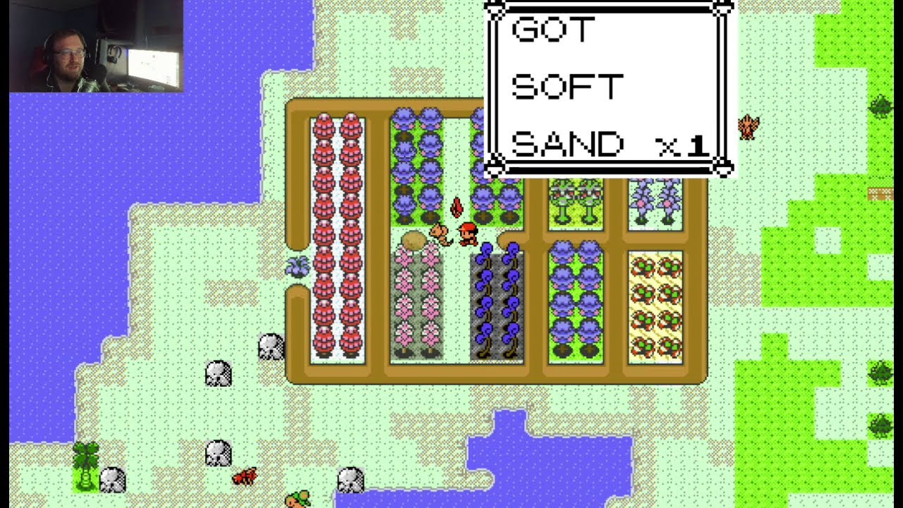 Pokemon wilds PT - 11 - Creating a berry farm and the Eevee army - YouTube