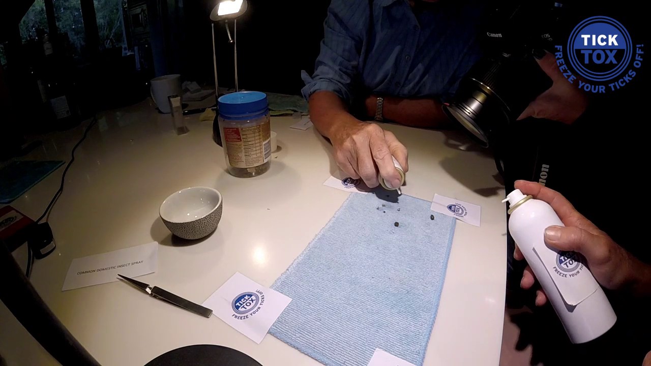 What is Tick Tox? - YouTube