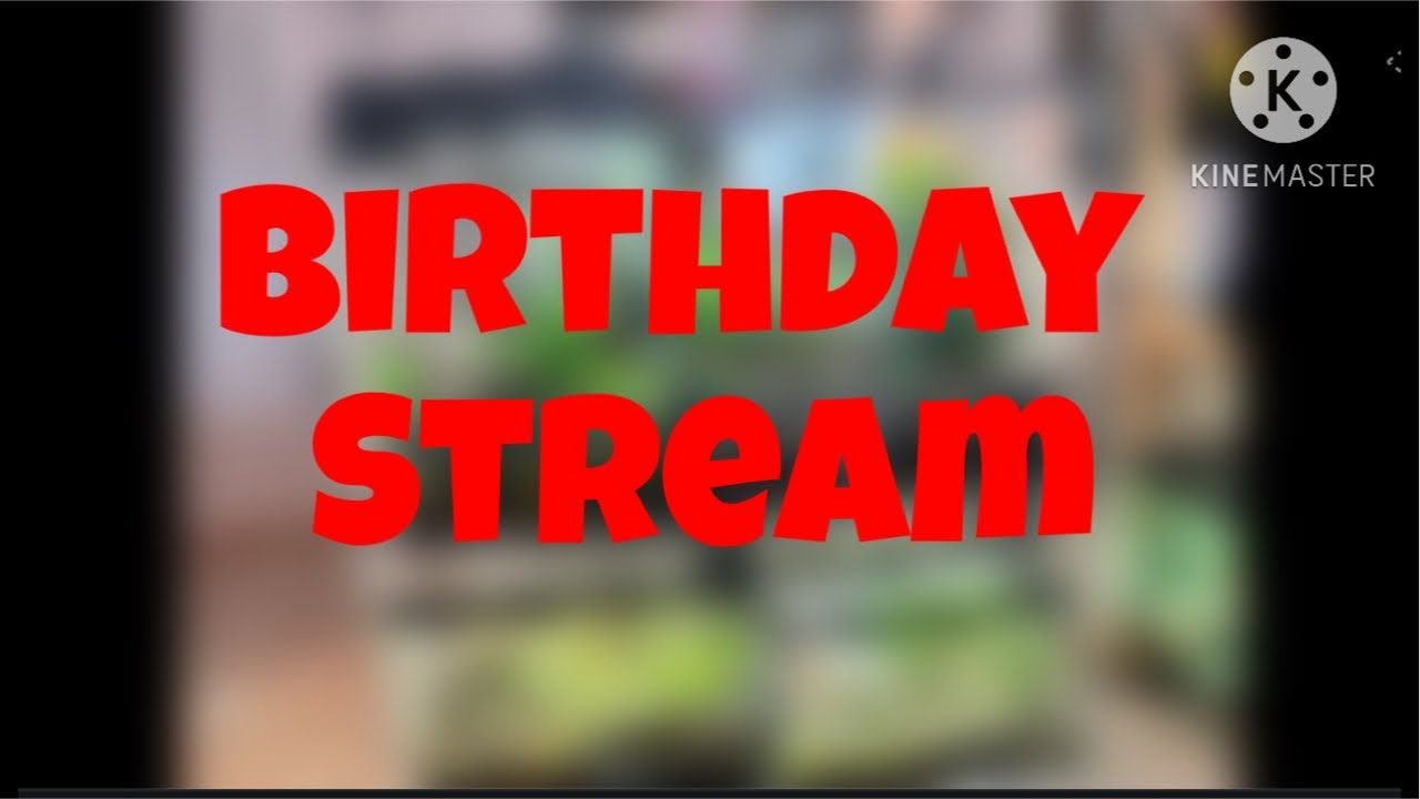 Birthday Livestream! Let’s talk about reptiles! - YouTube