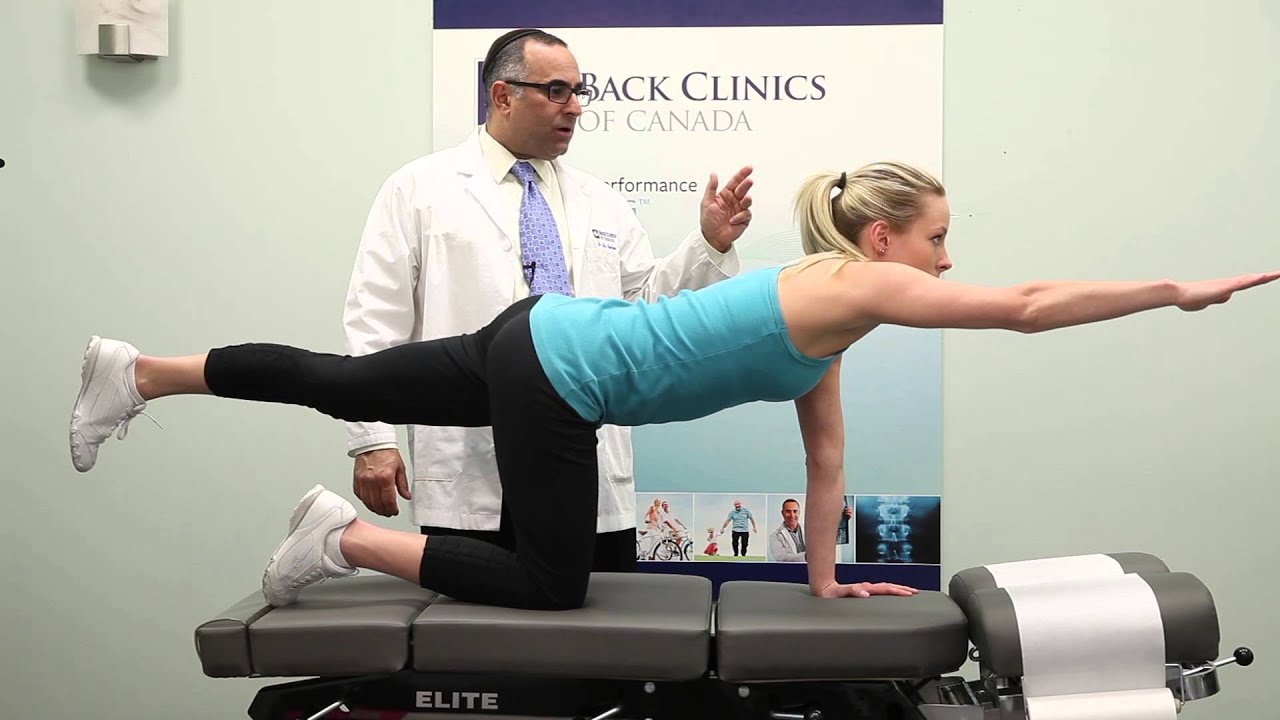 Back Clinics of Canada Stretch: Bird-Dog - YouTube