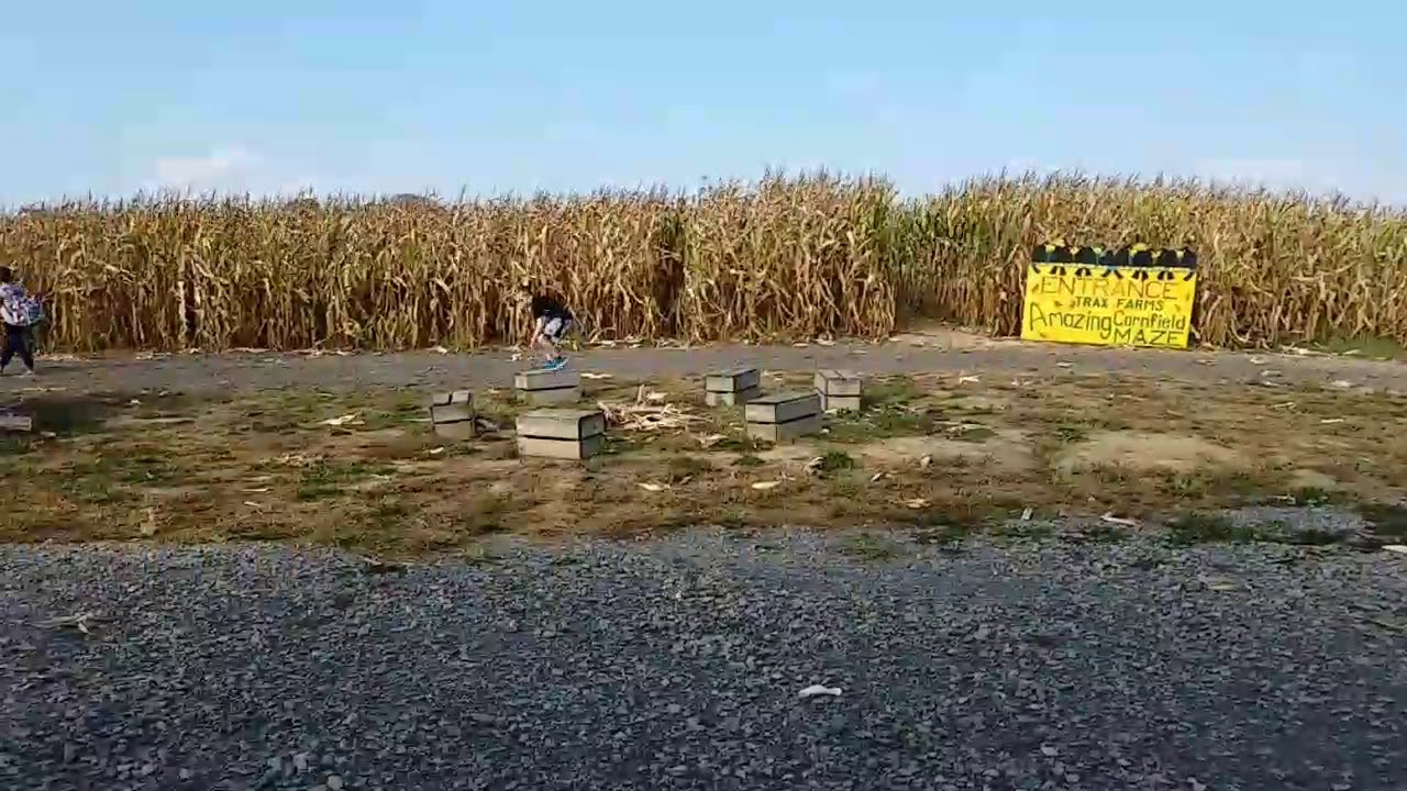 Trax Farm October 15, 2017 - YouTube