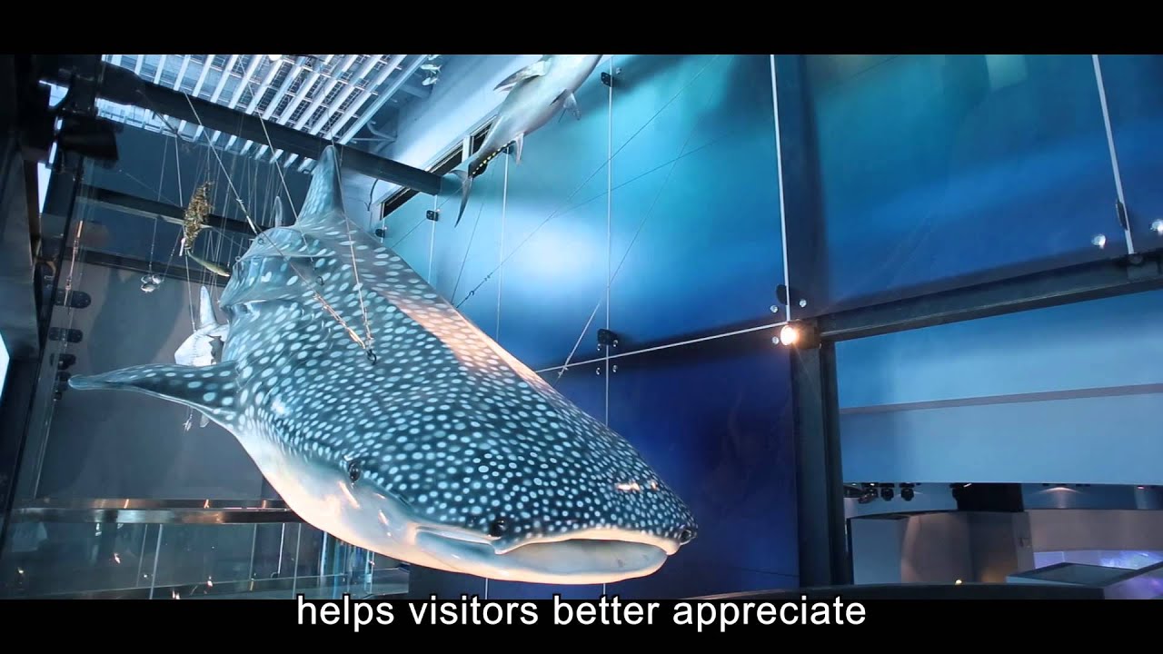 National Museum of Marine Science and Technology - Marine Environment ...