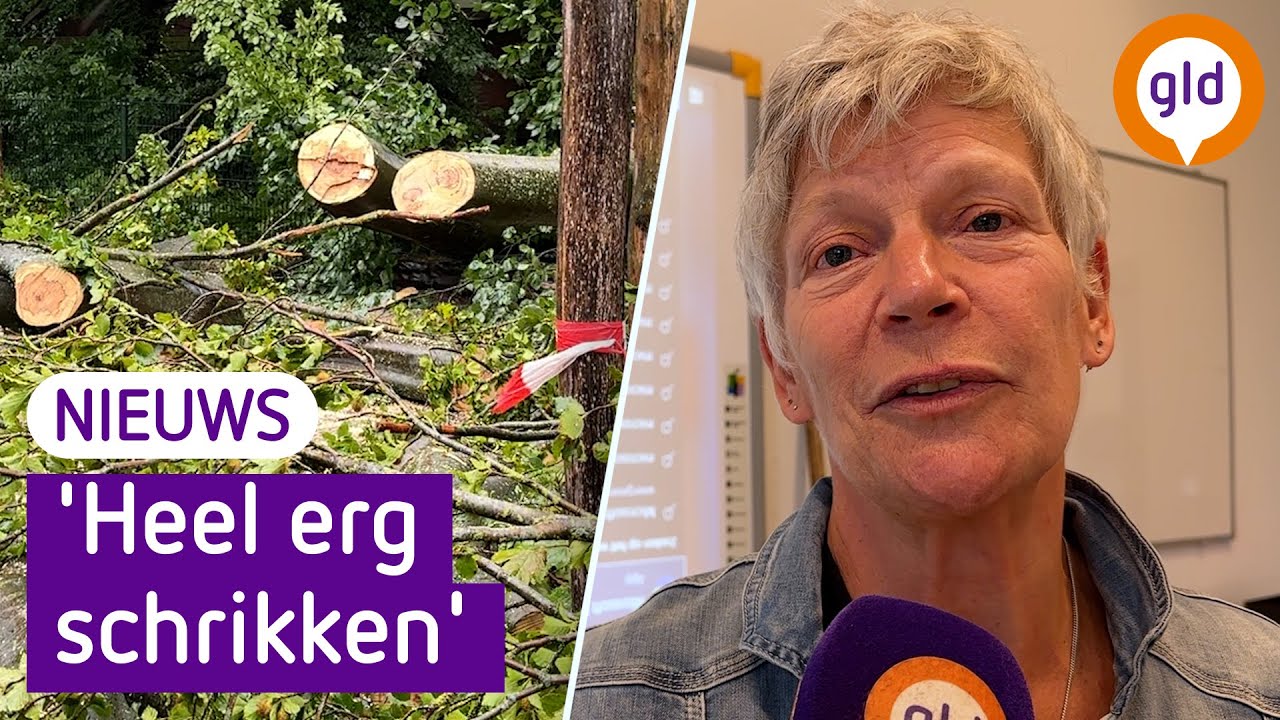 Deze schade veroorzaakte storm Poly in Gelderland - YouTube