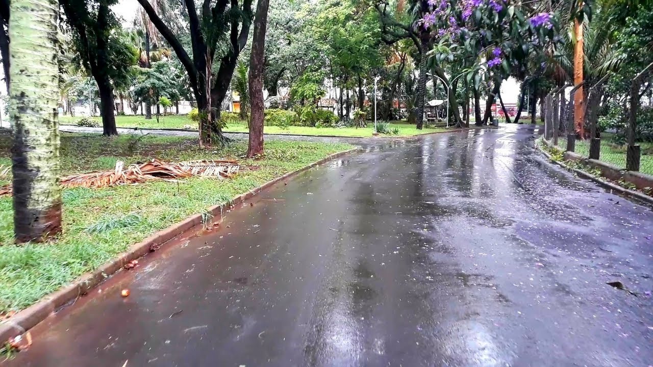 Caminhando com chuva no Parque - Araraquara SP Brasil - Walking in the ...