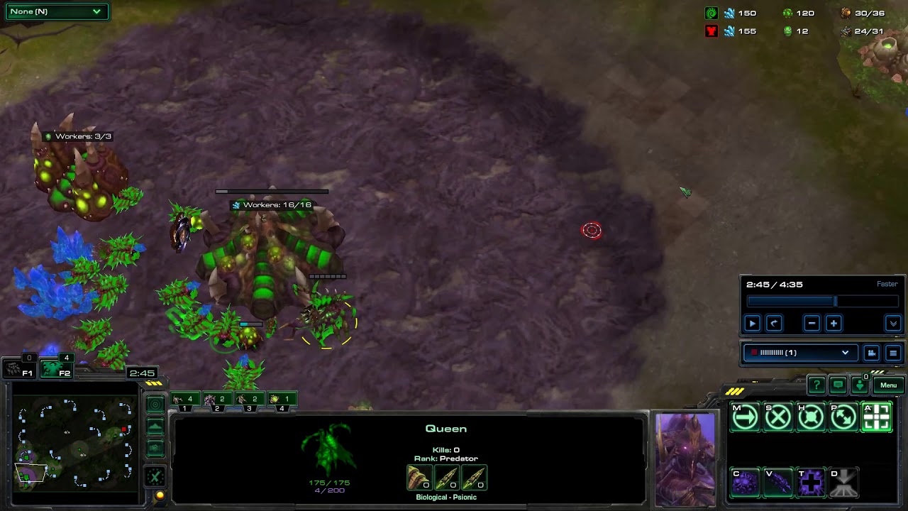 ZvT Build To Help You Climb 1v1 - YouTube
