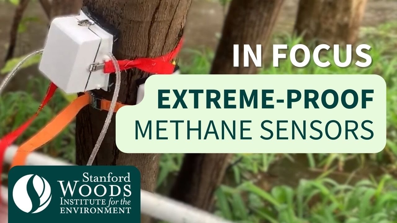 Monitoring Methane: Stanford researchers design sensors to detect ...