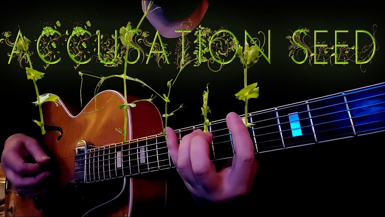 Dave Eberhardt - Accusation Seed - YouTube