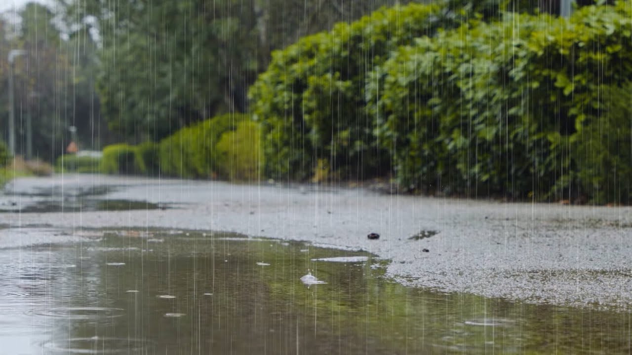 Rain falls on the deserted road 🌧️ The sound of falling rain is best ...