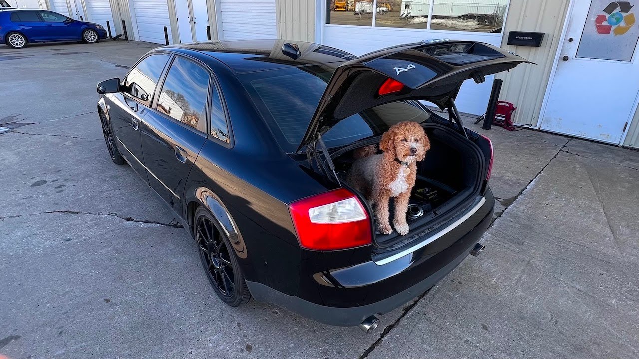 2004 Audi A4 1.8T B6 Parts Car Tour - YouTube