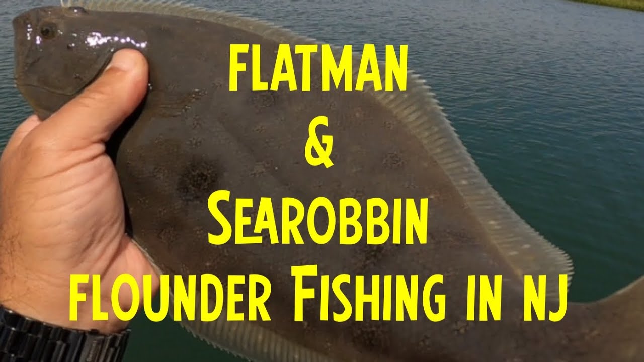 Flat Man & Sea Robbin Flounder Fishing South Jersey #flounder #fish # ...